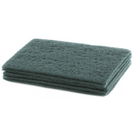 Scouring Pad - Canadian Maintenance and Safety